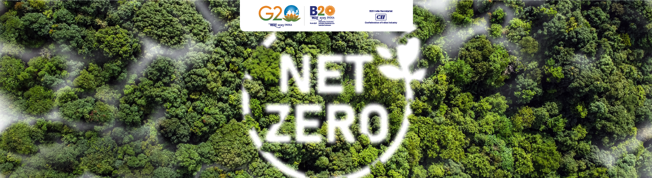 Priority Issues Towards Ensuring Fair and Just Global Net-Zero ...