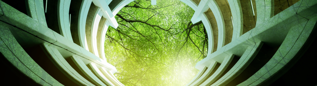 Elevating India’s Real Estate: ESG Integration and Sustainable Building ...