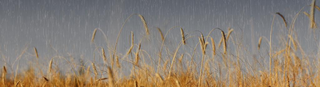 Indian Monsoon Variability: It’s Impact on the Indian Economy - CII Blog