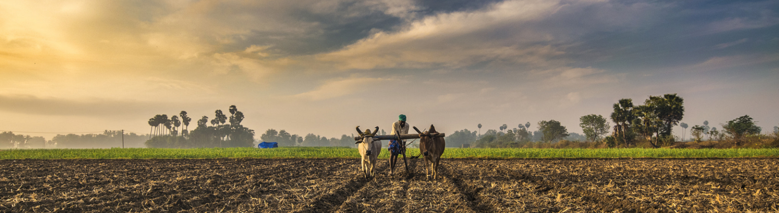 Rural Business Confidence Index Captures Business Sentiment of the ...