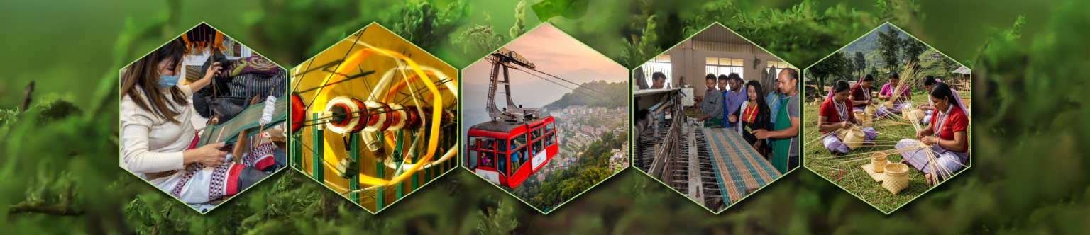 Policy Advocacy and Industrial Development in North East India - CII Blog