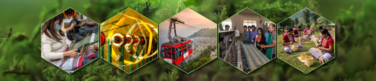 Policy Advocacy and Industrial Development in North East India - CII Blog